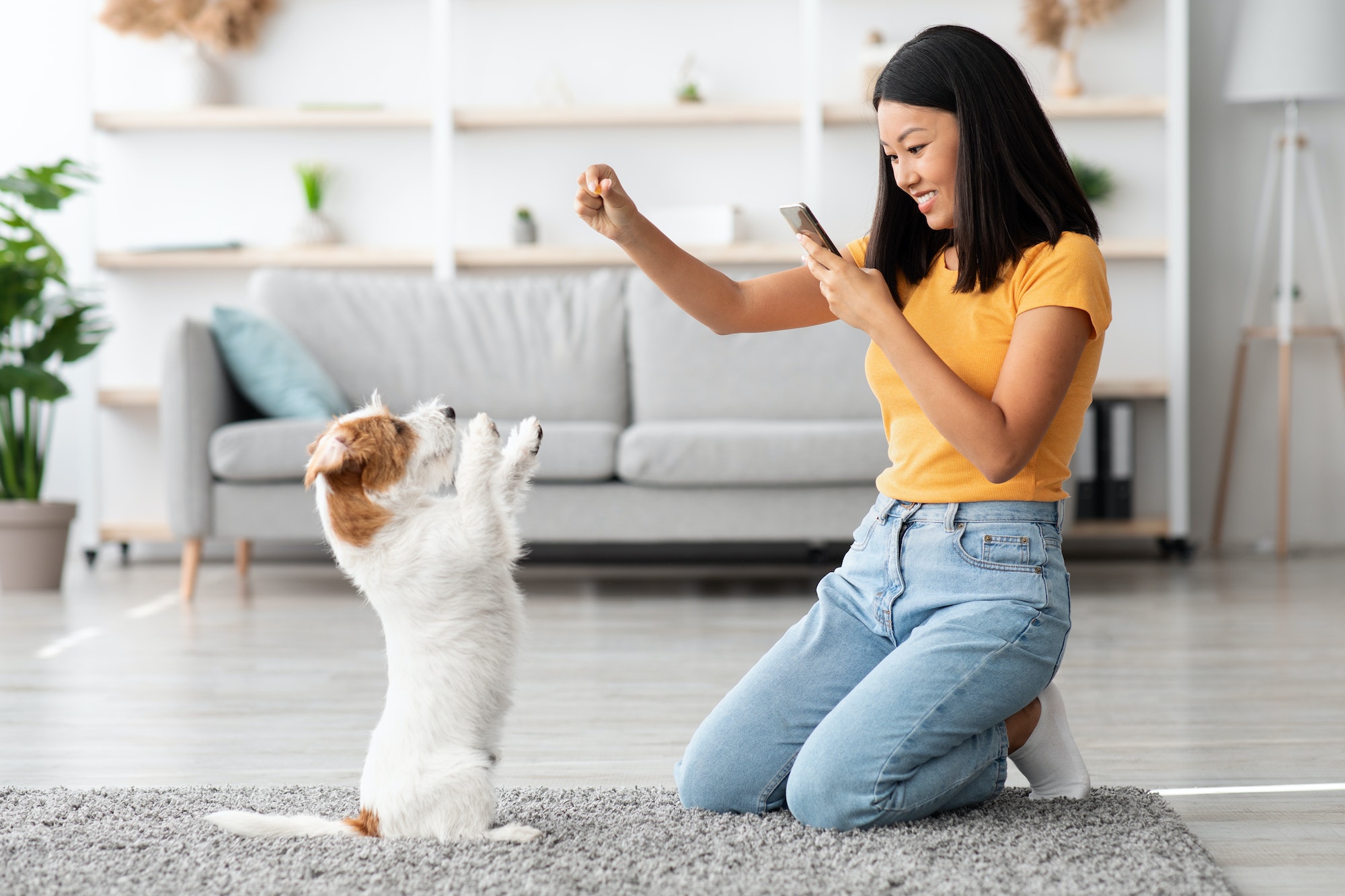 How to Properly Care for a Puppy - Wounded Paw Project