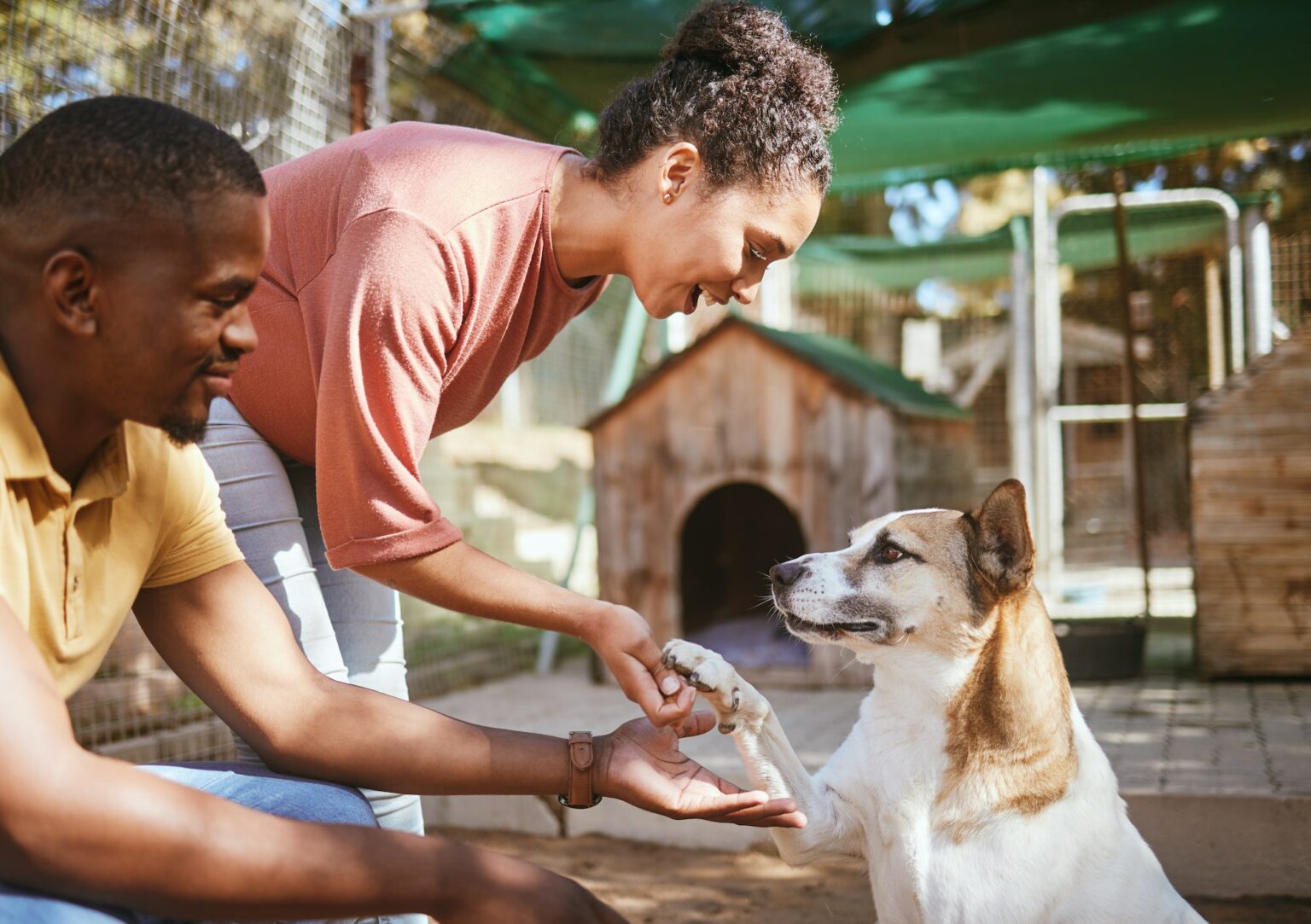 How You Can Help Clear the Shelters - Wounded Paw Project