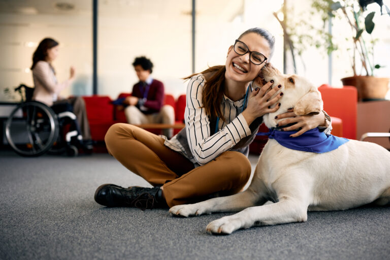 How to Foster a Therapy Dog - Wounded Paw Project