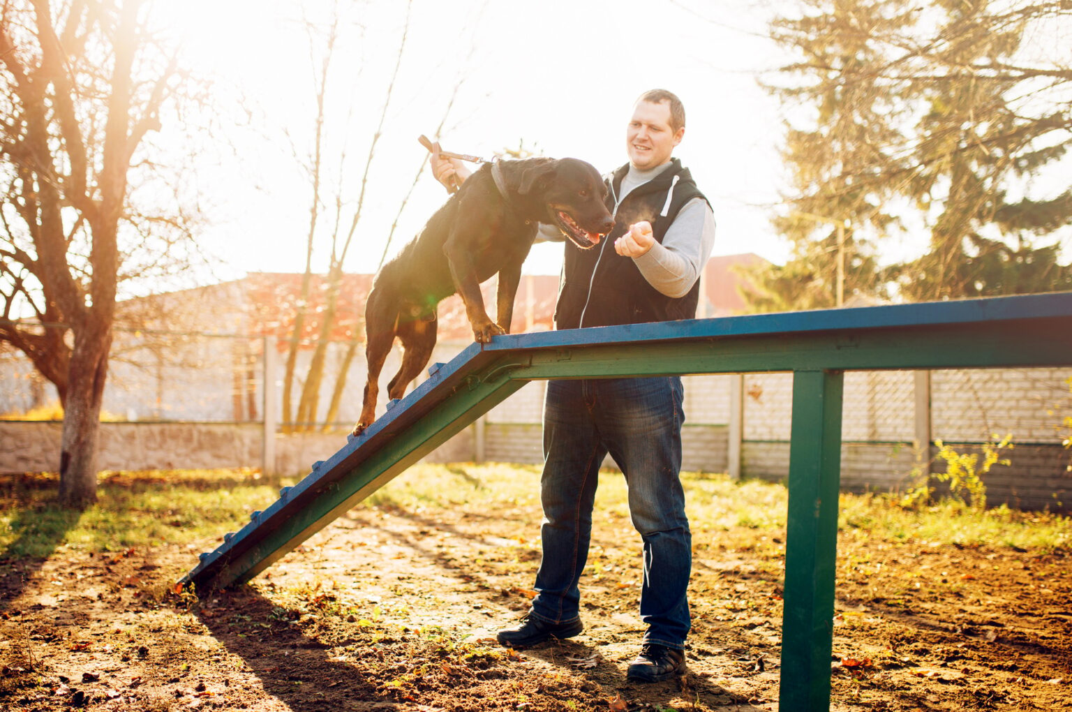 The Importance of Responsible Dog Ownership - WPP