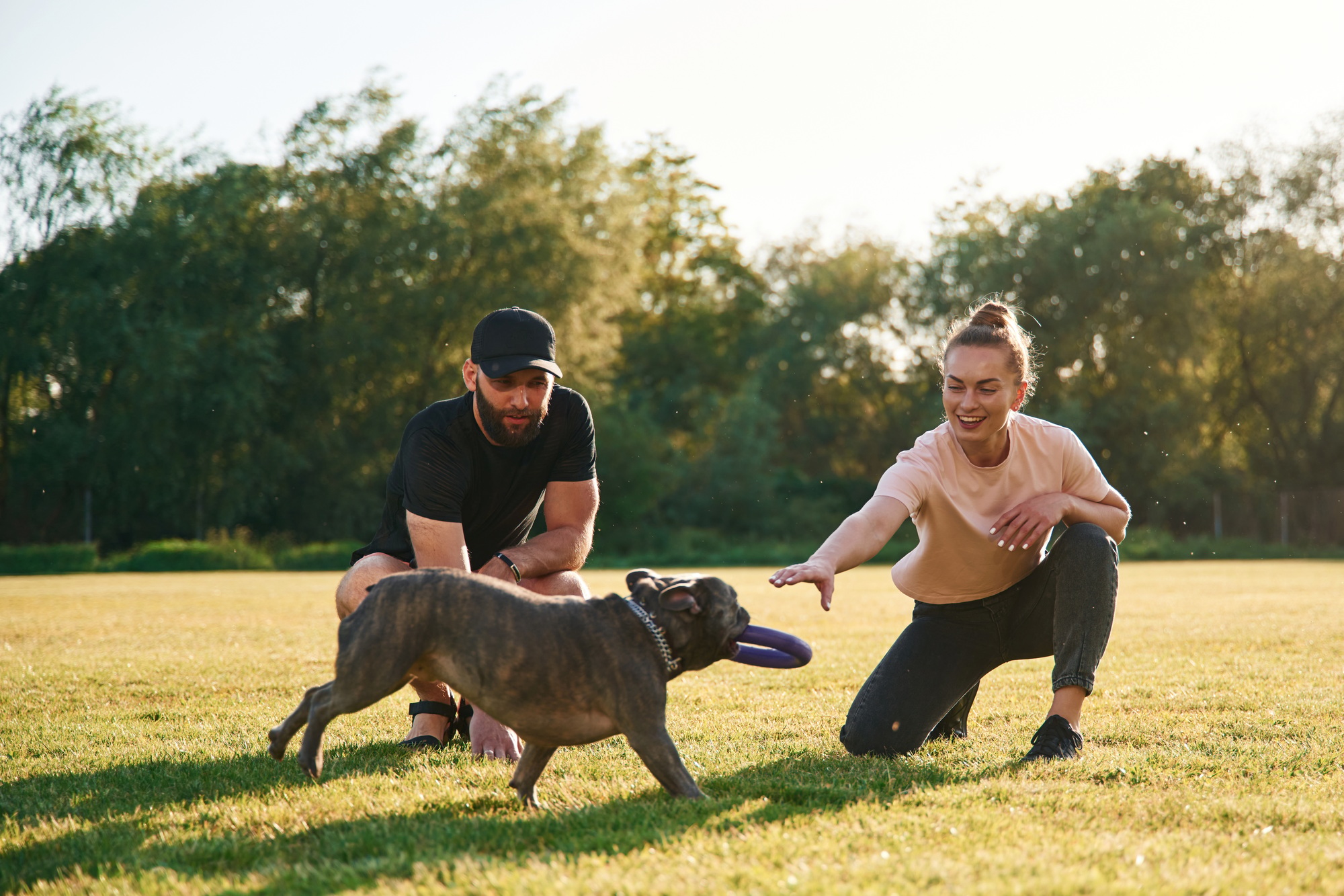 How to Report Animal Abuse Anonymously | Wounded Paw Project
