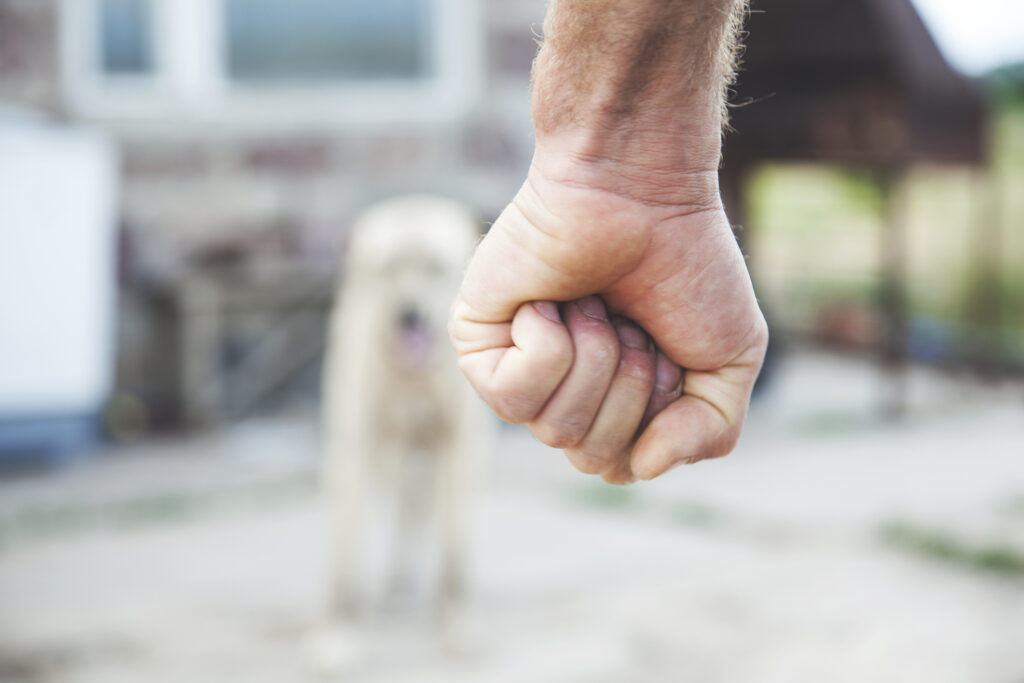The Different Types of Animal Cruelty - Wounded Paw Project