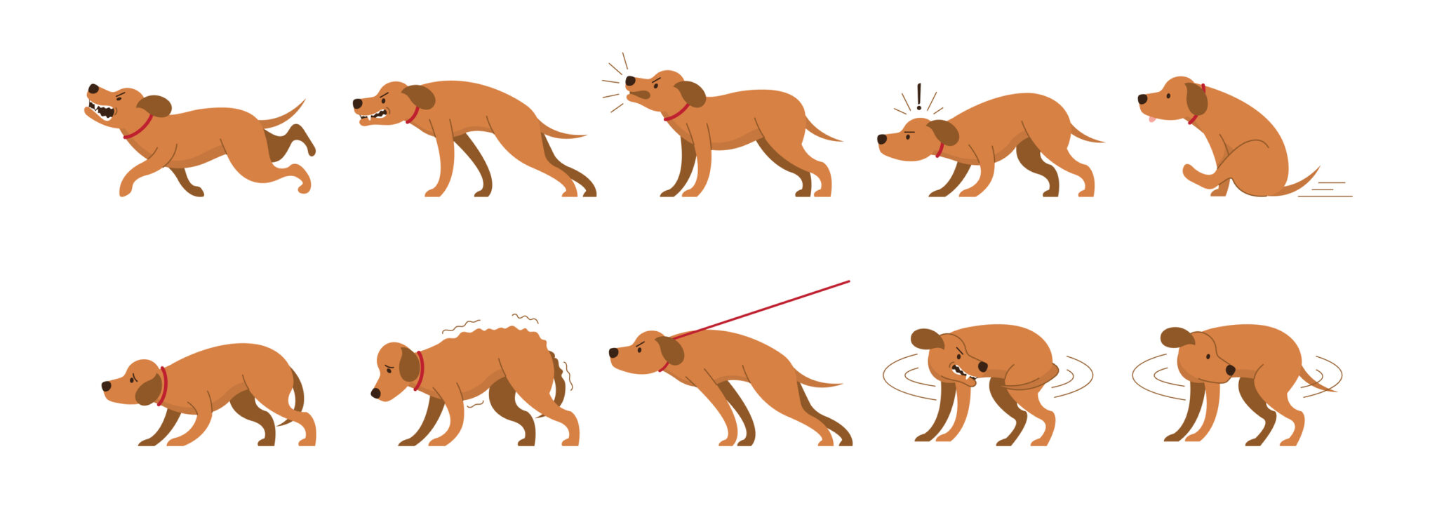 Signs of Stress in Dogs: A Guide for Virginia Pet Owners